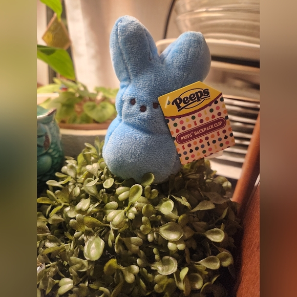dandee | Accessories | Copy Peep Blue Plush Toy Keychain | Poshmark